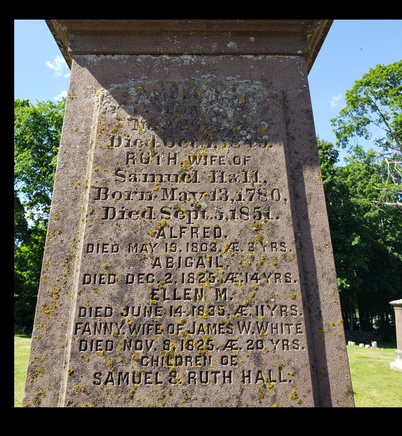 Fanny Hall’s 1817 Sampler – It's All About Family